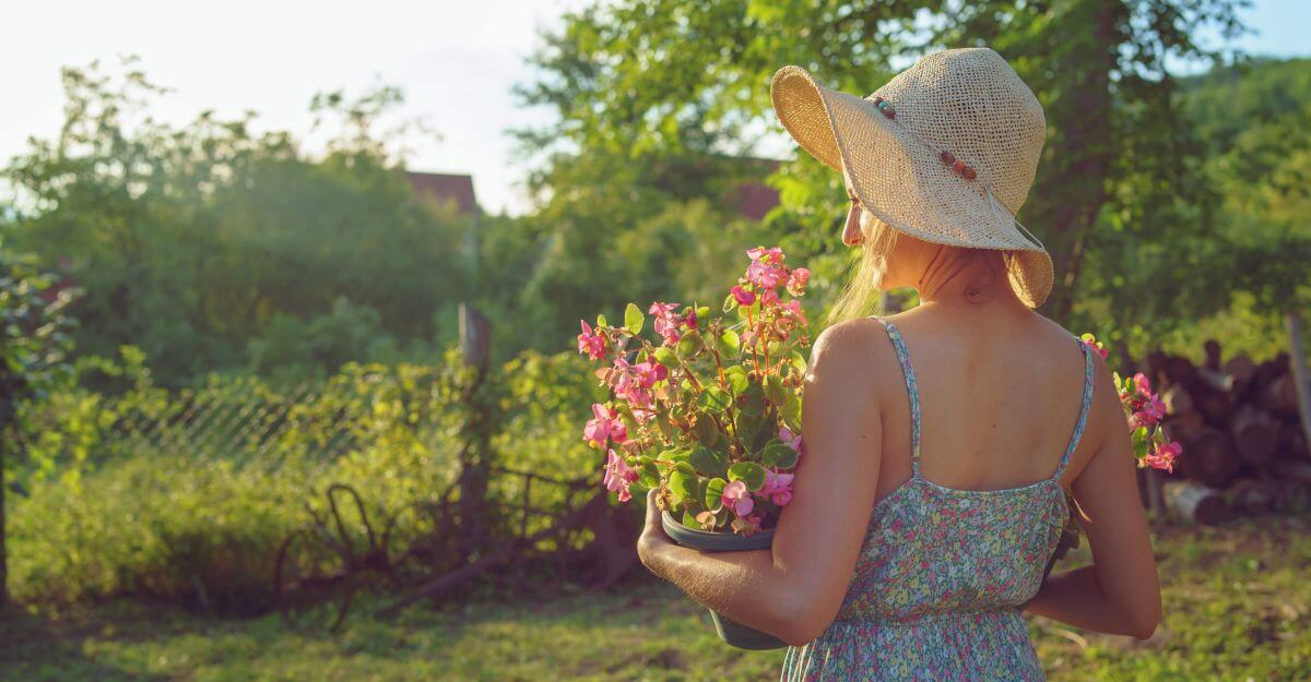 Spring Energy Saving Tips – Sungenia Solar